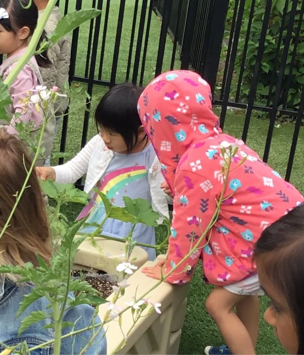 Daycare and Preschool in Bellevue, WA | Primrose School of West Bellevue